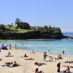 Blue Mountains Road Trip - Transportation and Practical Details