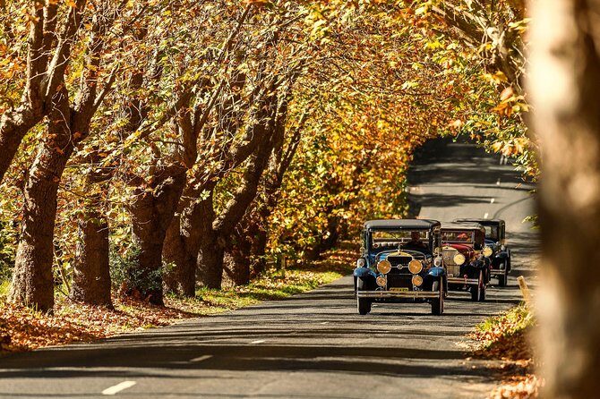 Blue Mountains Vintage Cadillac Tour with Local Guide - A Detailed Look at the Experience
