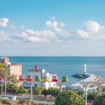 Blueline Park Sky Capsule & Spring Blossom Tour from Busan - Is This Tour Worth the Cost?