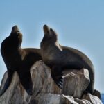 Boat ride to the Arch and Snorkel - Authentic Experiences from Travelers