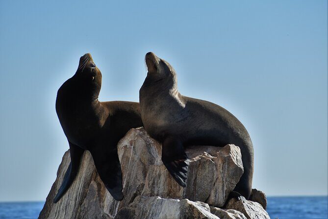 Boat ride to the Arch and Snorkel - Authentic Experiences from Travelers