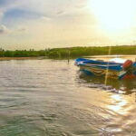 Boat Riding in Negombo - Why This Tour Might Be Perfect for You