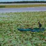 Boat Tour in Tissamaharama Lake - Practical Details & Tips