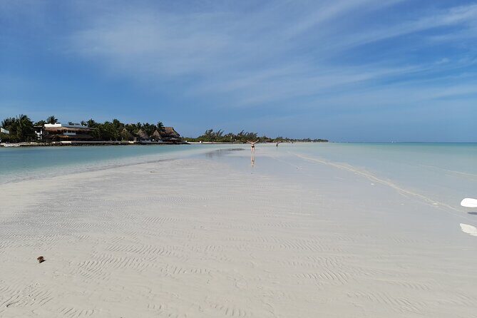 Boat Tour of Three Islands in Holbox with Transportation - Breaking Down the Itinerary: What You’ll Experience