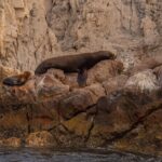 Boat Tour Snorkeling Tour with Guide, Drinks and Fruit - Practical Aspects: Transportation, Timing, and Group Size