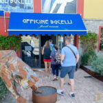 Bocelli Backstage And Wine Day Tour from Florence - The Bocelli Family’s Vineyards & Casa Museum