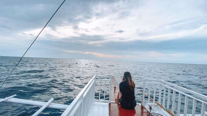 Bohol Balicasag Is Private Tour and Dolphin Watching - Why This Tour Offers Great Value