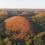 Bohol: Chocolate Hills, Loboc River Cruise, and Buffet Lunch - Inside the Experience: What to Expect