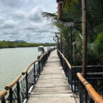 Bohol: Chocolate Hills Tour with Loboc River Cruise & Lunch - What’s Included and What’s Not