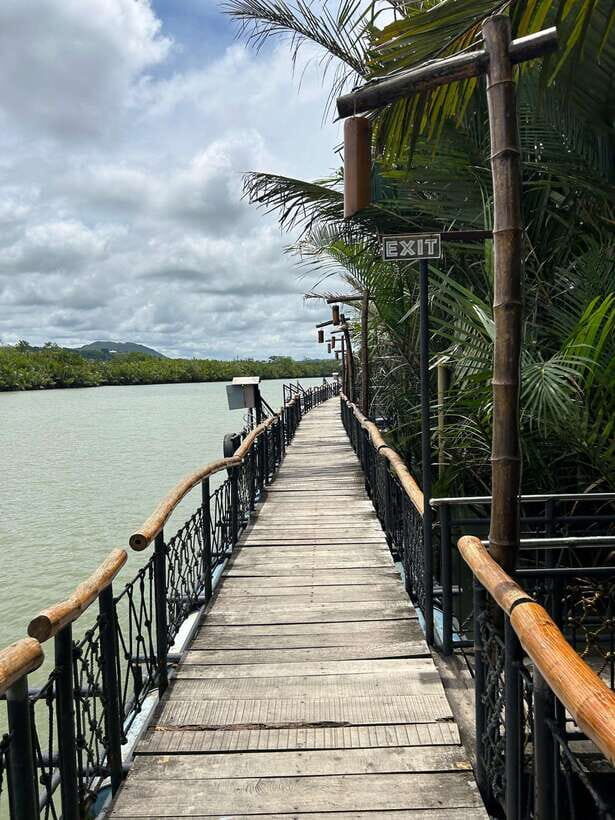 Bohol: Chocolate Hills Tour with Loboc River Cruise & Lunch - What’s Included and What’s Not