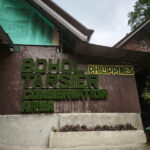 Bohol Chocolate Hills Tour with Loboc River Lunch Buffet - A Detailed Look at the Experience