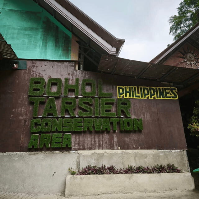 Bohol Chocolate Hills Tour with Loboc River Lunch Buffet - A Detailed Look at the Experience