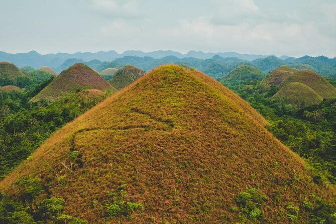 Bohol Country Side Tour - Private w/ Lunch - The Experience: Transportation, Guides, and Overall Value