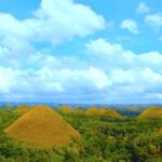 Bohol Countryside Day Tour from Cebu City or Mactan - Best Seller - Detailed Breakdown of the Itinerary