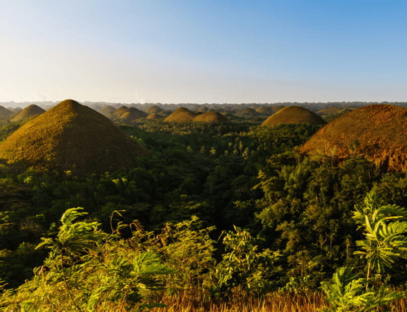 Bohol: Countryside Tour with Tarsiers and Chocolate Hills - The Practical Side: How the Tour Works