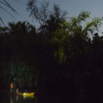 Bohol: Firefly Watching Shared Tour - Transportation, Timing, and Practical Details