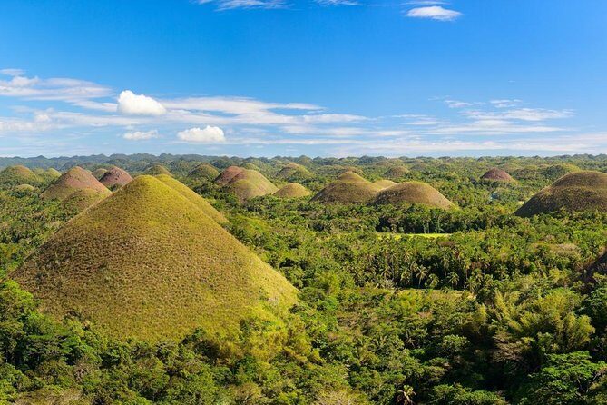 Bohol Full Package: 4 Days 3 Nights - Who Is This Tour Best For?