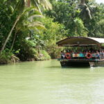 Bohol: Loboc River Buffet-Lunch Cruise with Private Transfer - The Experience Overview