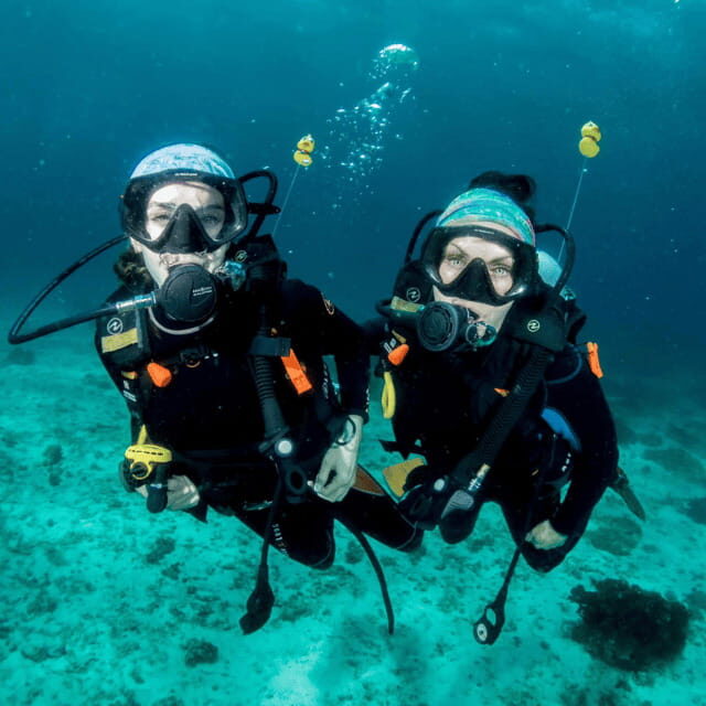 Bohol: Pamilacan Island Fun Dive Experience! - Who Should Book This Tour?