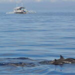 Bohol: Private Balicasag Tour with extra snorkeling time - Transportation, Timing, and the Practicalities