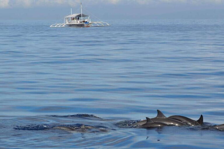 Bohol: Private Balicasag Tour with extra snorkeling time - Transportation, Timing, and the Practicalities