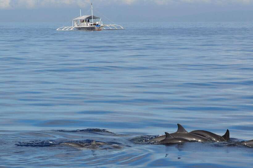Bohol: Private Balicasag Tour with extra snorkeling time - Transportation, Timing, and the Practicalities