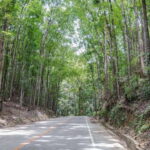 Bohol: Private Countryside Tour with Buffet Lunch - Transportation & Group Size