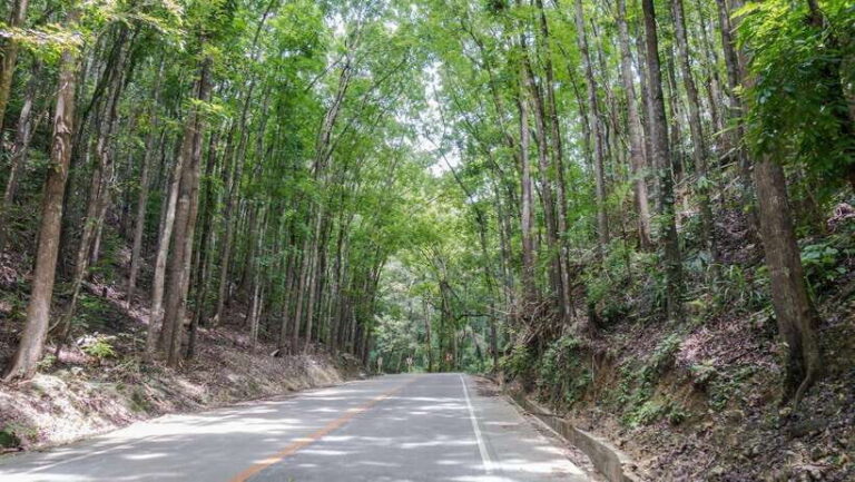 Bohol: Private Countryside Tour with Buffet Lunch - Transportation & Group Size
