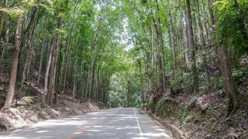 Bohol: Private Countryside Tour with Buffet Lunch - Transportation & Group Size
