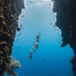 Bohol: Private Sardine Snorkel & Tropical Fish Tour - What Makes This Snorkel Unique?