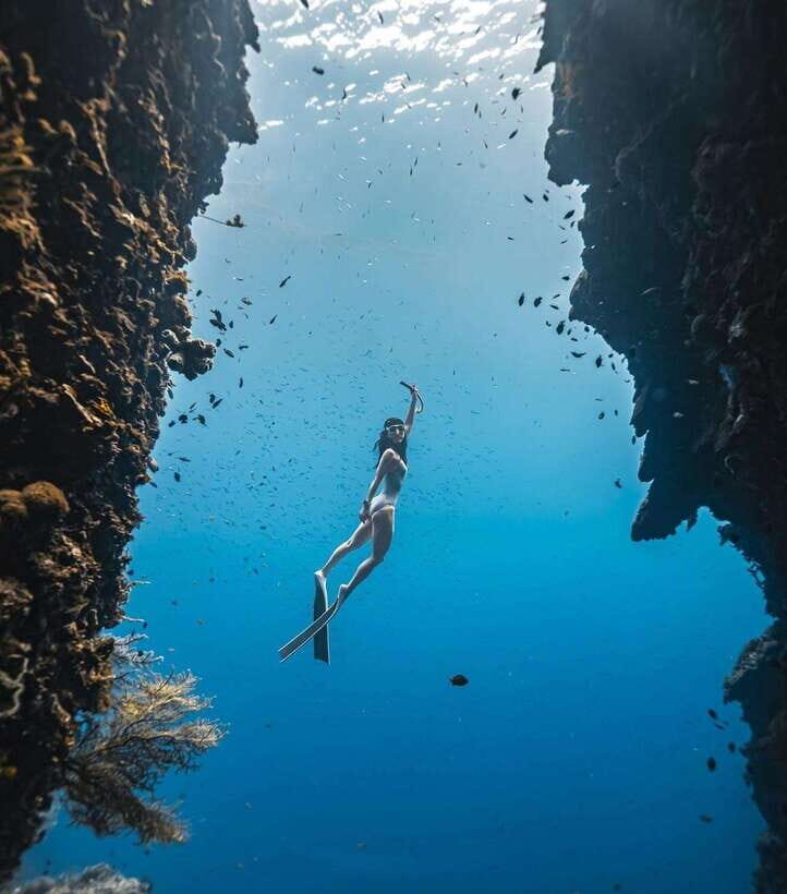 Bohol: Private Sardine Snorkel & Tropical Fish Tour - What Makes This Snorkel Unique?