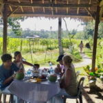 Bohol: Waterfalls, Kayak, Hills Hike, & Tarsier Private Tour - Practical Considerations and Value for Money