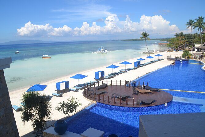 Bohol's Panglao Island Half Day Land & Half Day Island Hopping (Cebu or Bohol) - Who Will Love This Tour?