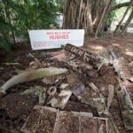 Bombing of Darwin World War II Tour with Harbour Cruise - Final Thoughts