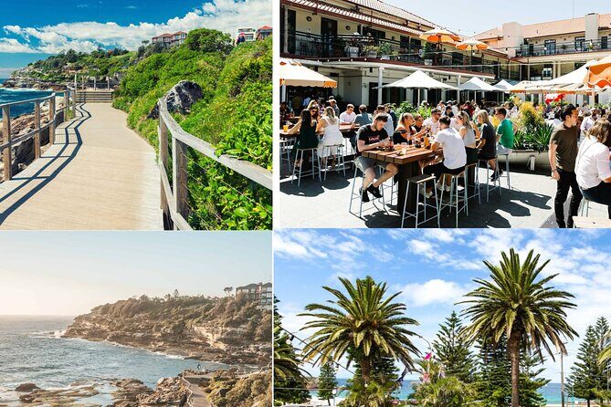 Bondi to Coogee Guided Coastal Walk with Lunch - What Previous Participants Say
