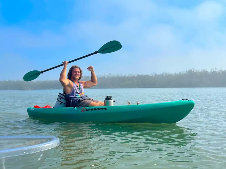 Bonita Springs Clear Kayak Tour with Dolphins & Manatees - In-Depth Look at the Itinerary