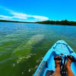 Bonita Springs: Kayak Tour with Manatees, Dolphins Sightings - Why This Tour Offers Good Value