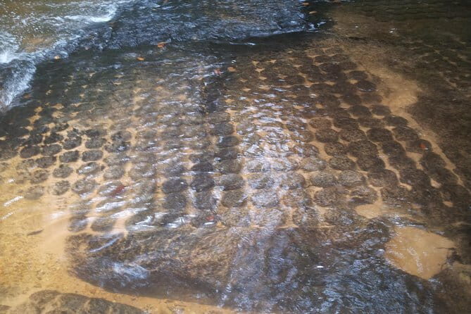 Bonteay Srie 1000 Shiva Lingas sunset less crowded Private Tour - The Sum Up