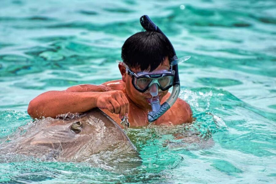 Bora Bora: 4x4 Safari with Snorkelling Combo Tour - Who Should Book This Tour?