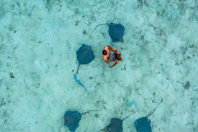 Bora Bora adventure Private Combo Jet Ski and Eco Sharks Snorkel - What Travelers Say