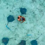 Bora Bora Eco Snorkel Cruise Including Snorkeling with Sharks and Stingrays - The Guides: Knowledgeable, Friendly, and Fun