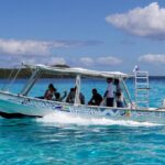 Bora Bora Eco Snorkel Cruise Including Snorkeling with Sharks and Stingrays - Snorkeling and Marine Life