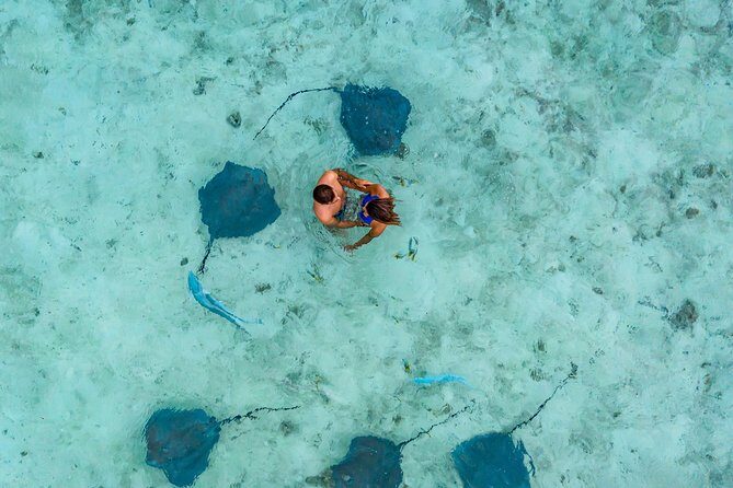 Bora Bora Eco Snorkel Cruise Including Snorkeling with Sharks and Stingrays - The Guides: Knowledgeable, Friendly, and Fun