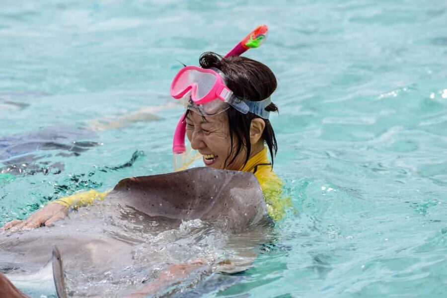 Bora Bora: Full-Day Lagoon Snorkelling Tour - The Lagoon and Snorkelling Spots