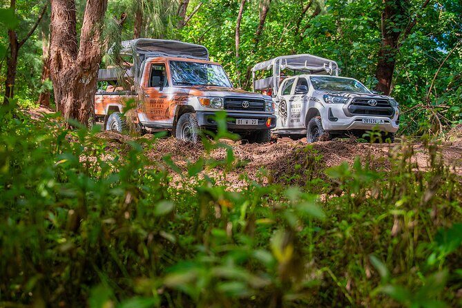 Bora Bora Half Day 4X4 Island Safari Tours - The Ride and Logistics
