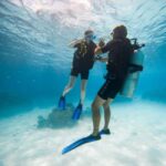 Bora Bora: Introductory Dive - The Itinerary and What to Expect