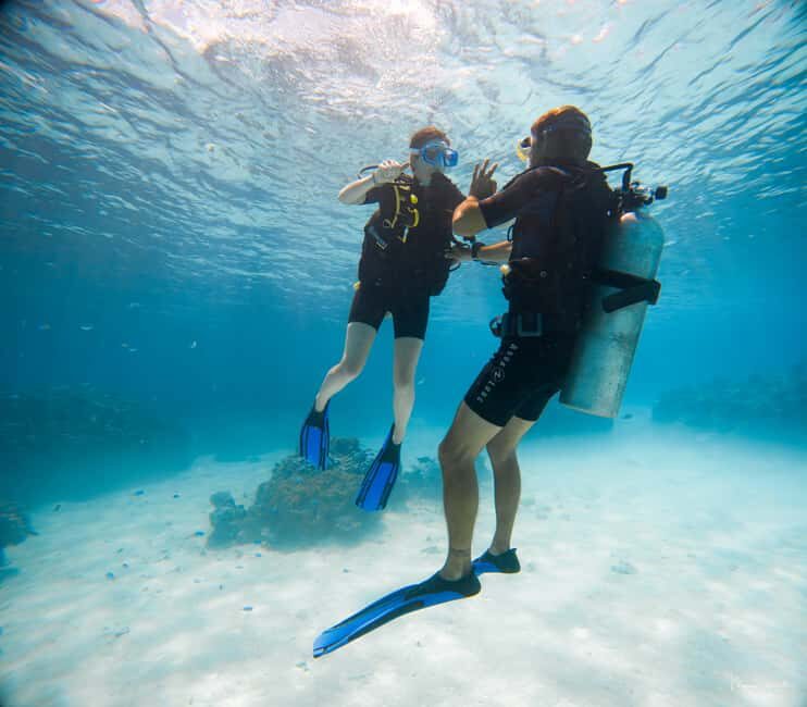 Bora Bora: Introductory Dive - The Itinerary and What to Expect