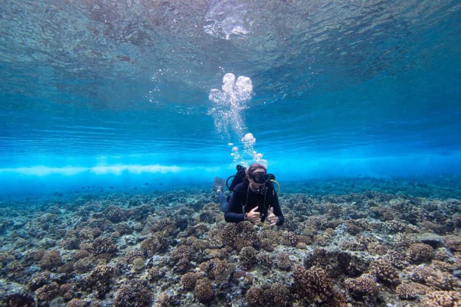 Bora Bora: Morning 2 tank dive for certified divers - Who Should Consider This Tour?