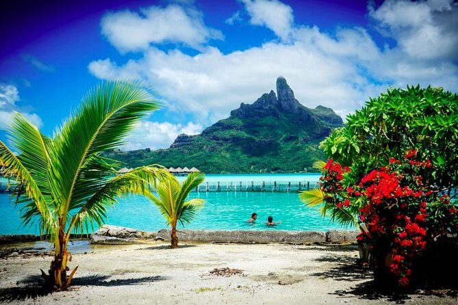 Bora Bora Off-Road Sightseeing Tour - Who Will Appreciate This Tour?