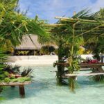 Bora Bora Private Departure Hotels to Airport Transfer - Why Travelers Love This Experience